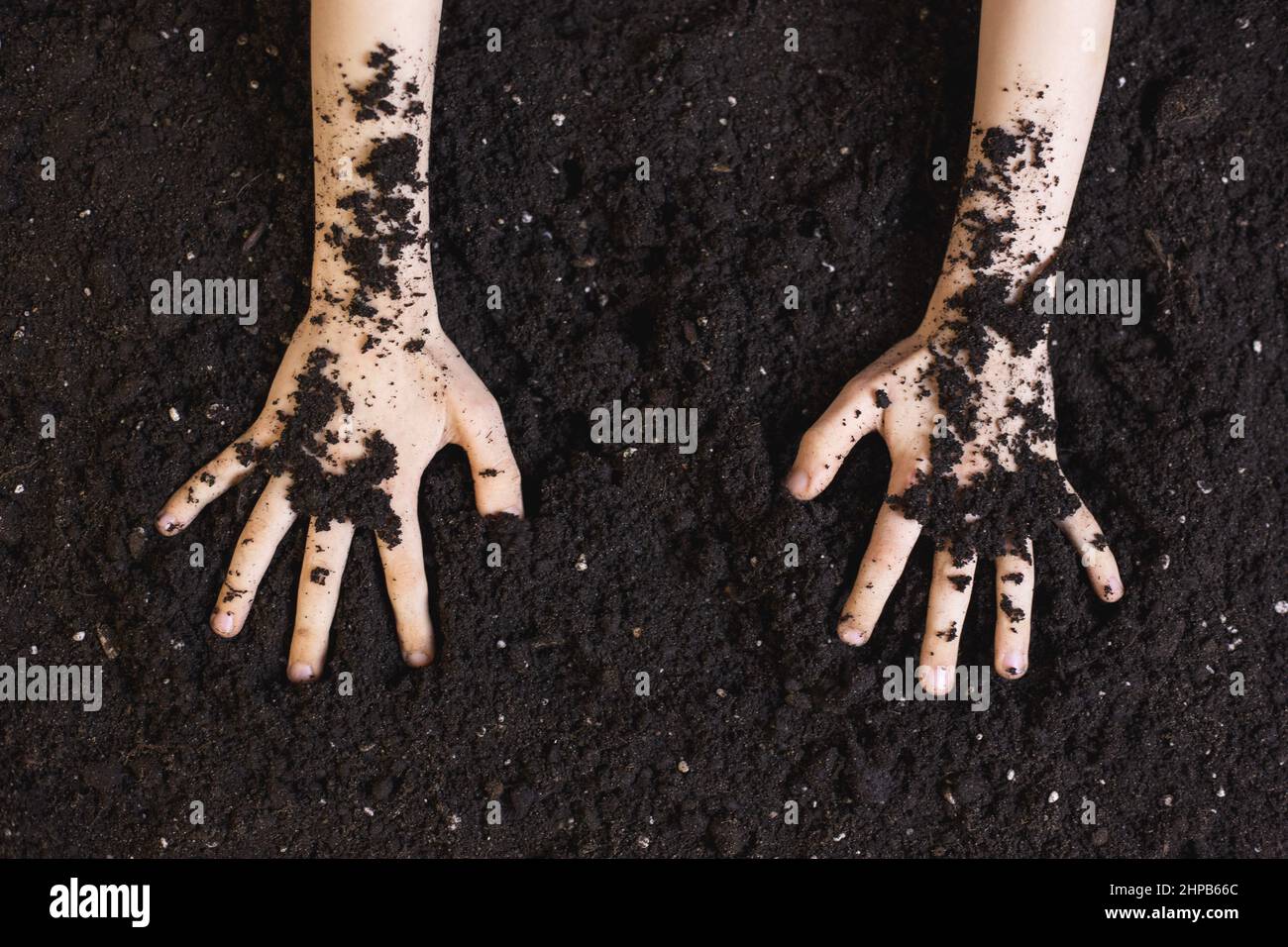 Hands and soil. Hands covered with soil Stock Photo - Alamy