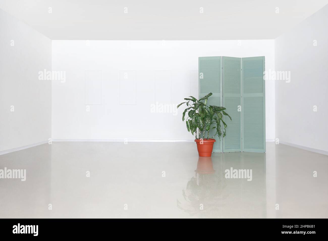 View of empty room with folding screen and houseplant Stock Photo - Alamy