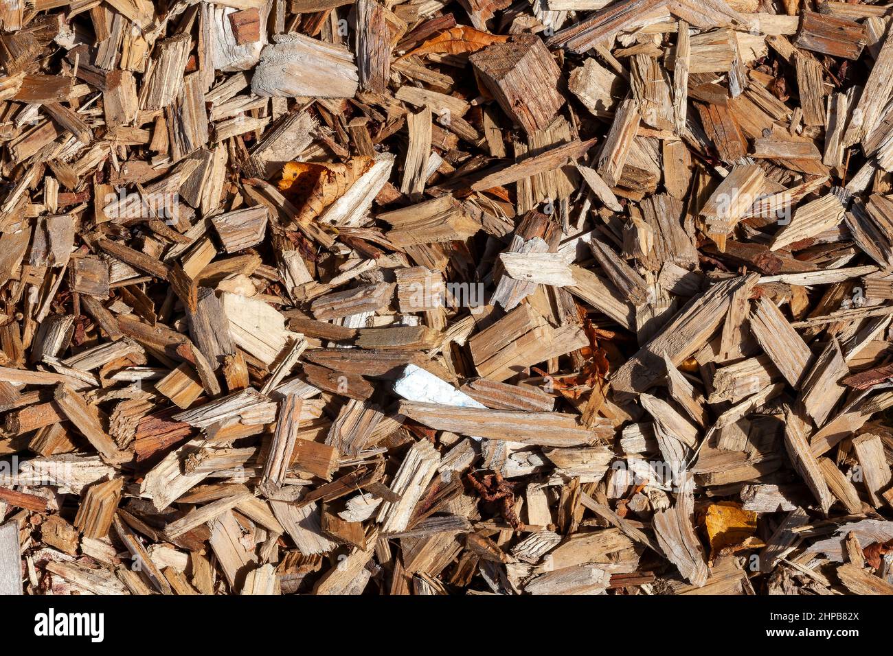 Wood chip bark chippings having been shredded for use as a garden mulch ...