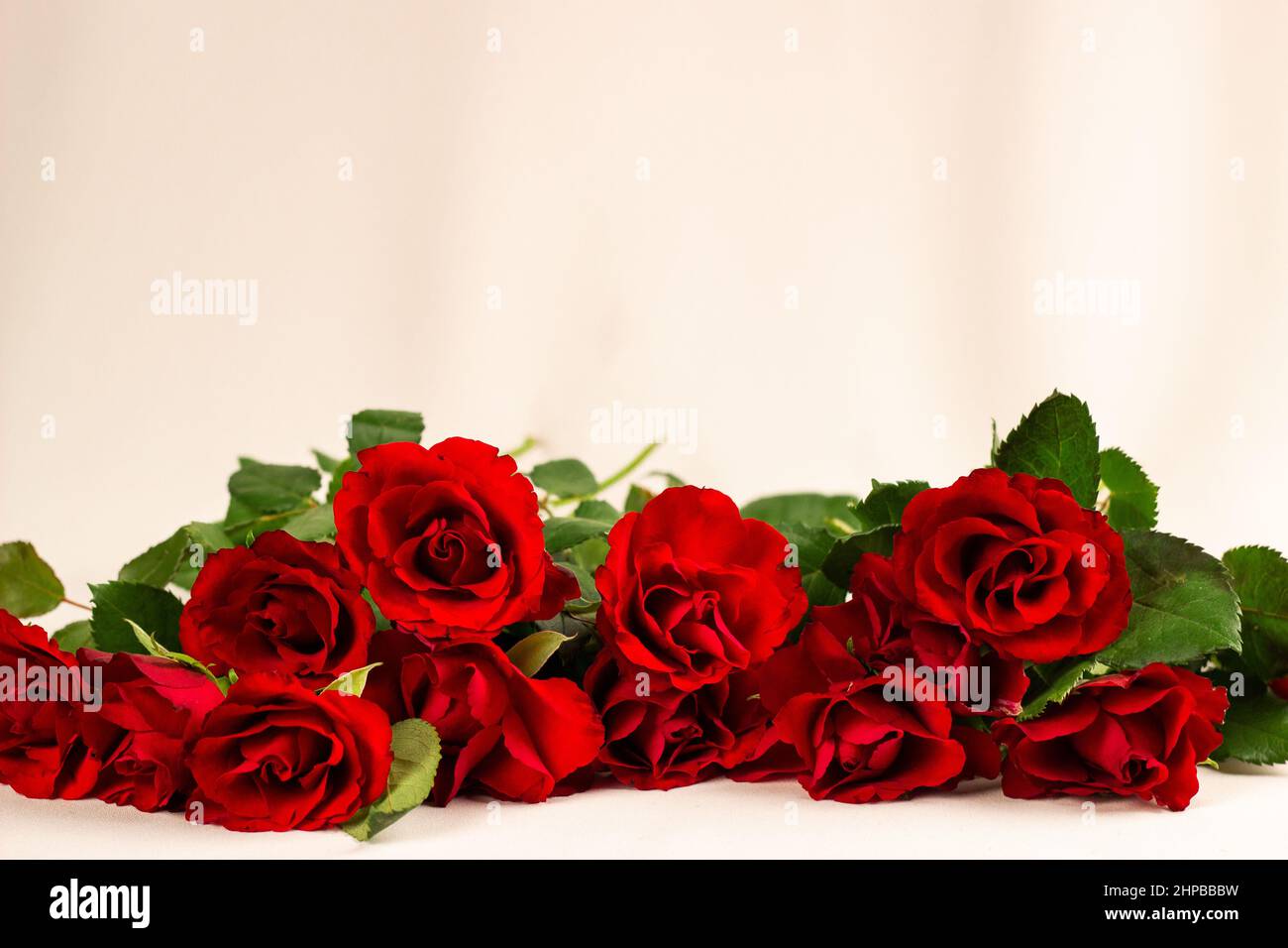 Illustration of red roses bouquet on a light pink background Stock ...