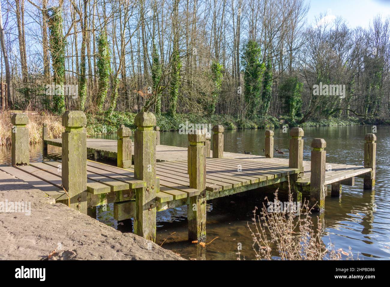 Pond with jetty, Reddish Vale, Stockport, Cheshire, UK Stock Photo - Alamy