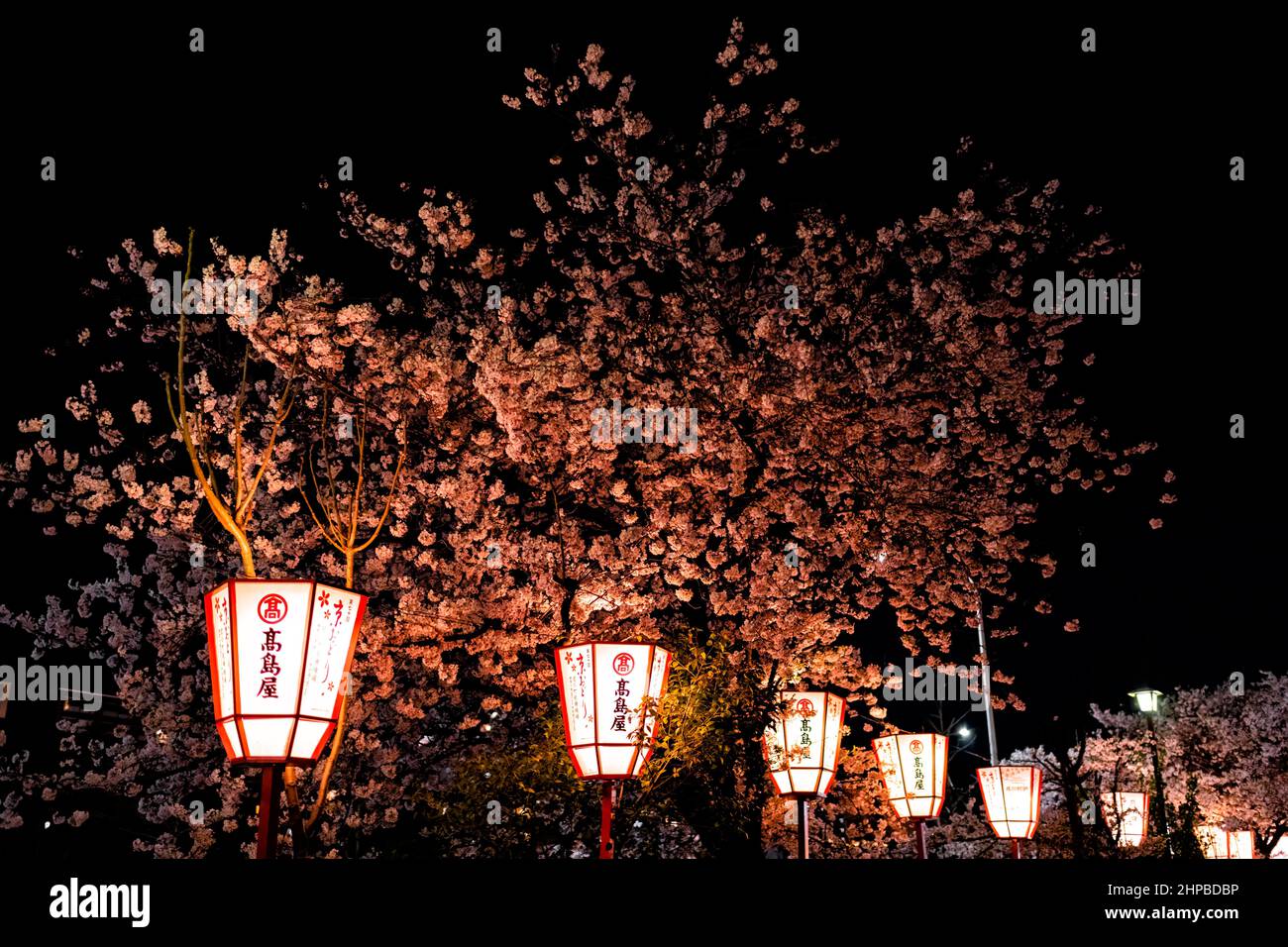 Hanami kyoto hi-res stock photography and images - Alamy
