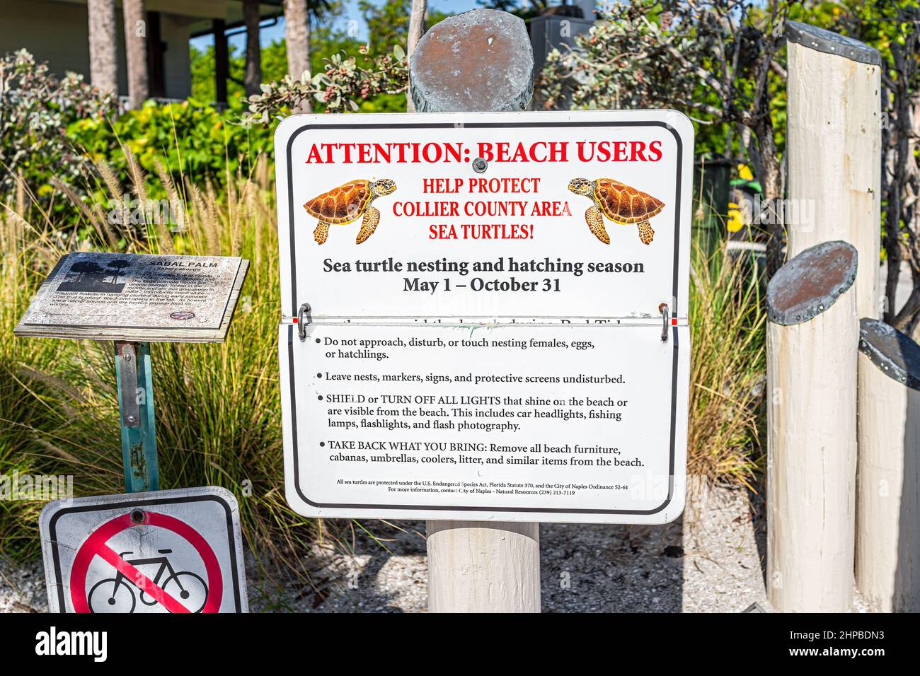 Turtle conservation florida hi-res stock photography and images - Alamy