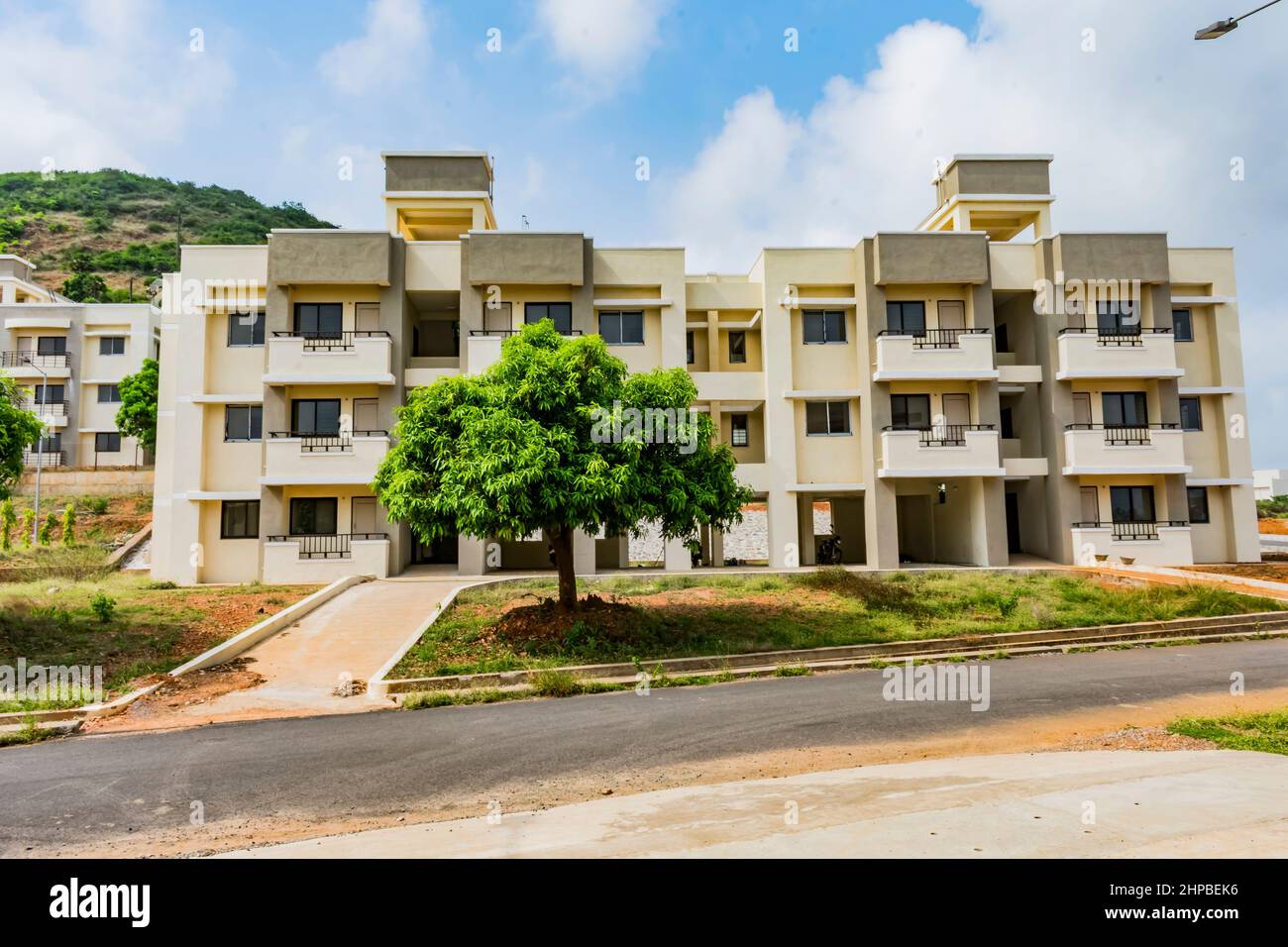 A close view of small mango tree planted just now looking awesome Stock ...