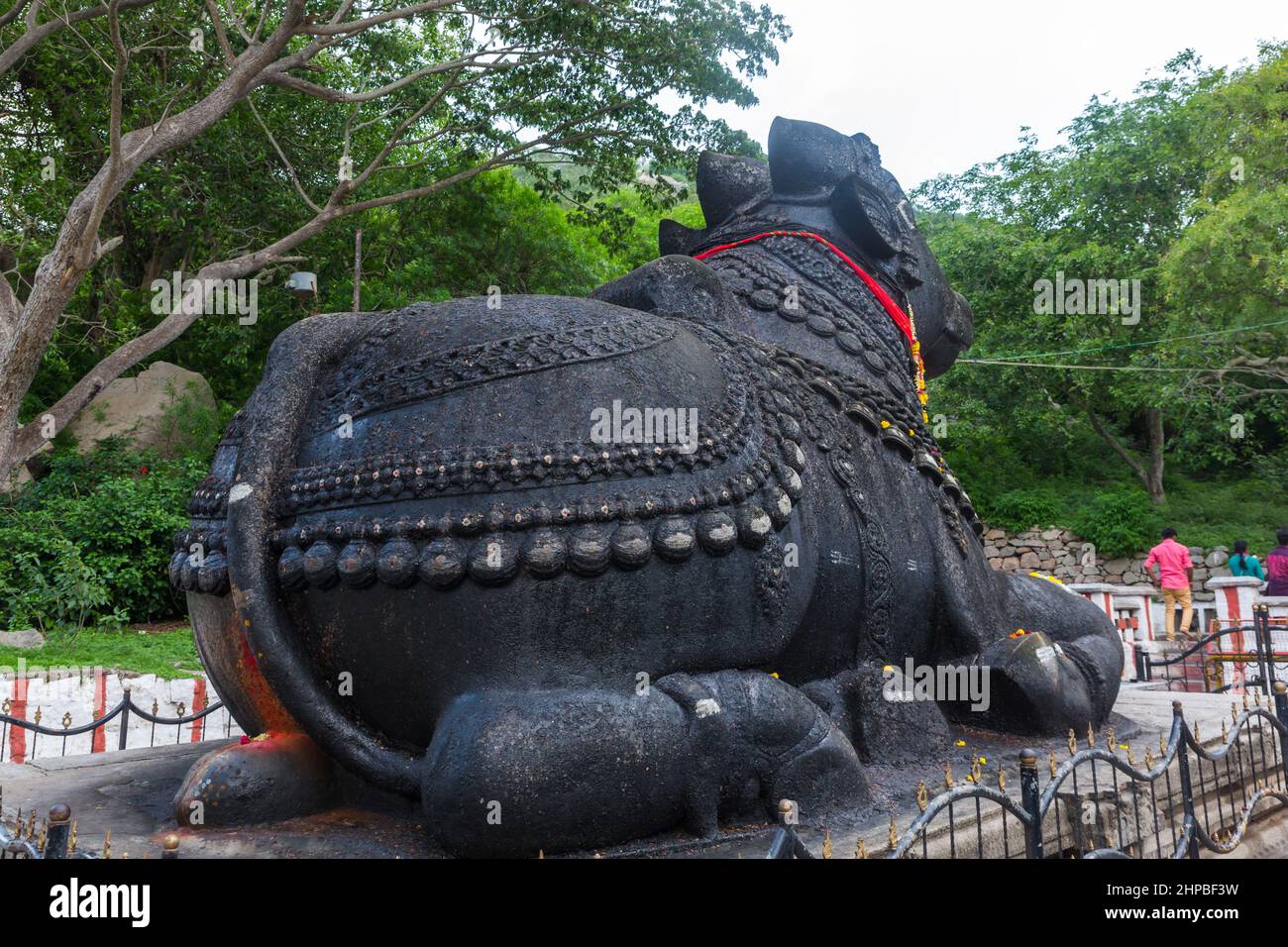 Back profile of the 350 year old monolithic statue of Nandi (Bull ...