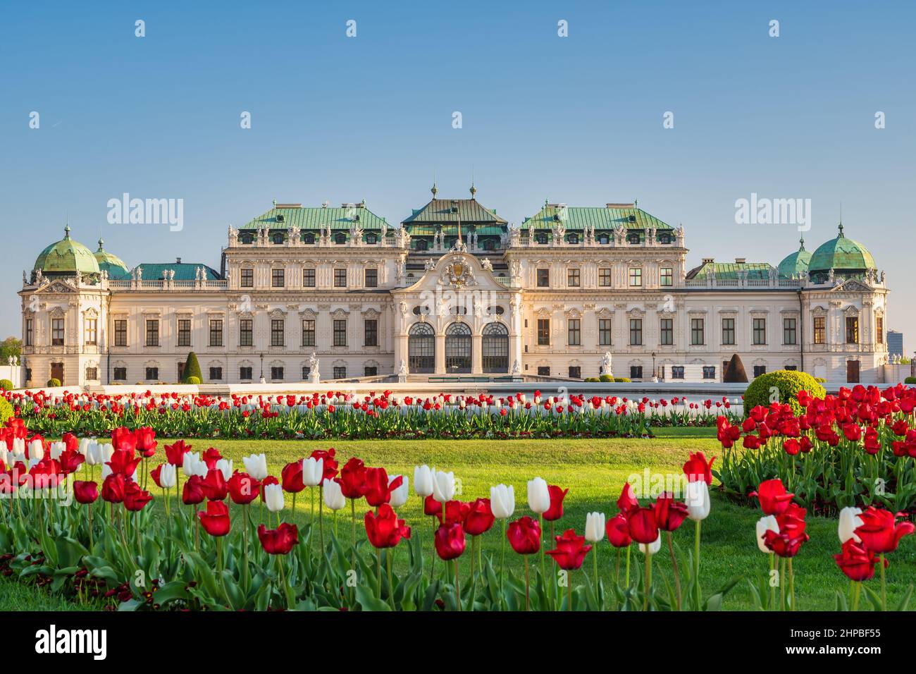 Vienna Austria city skyline at Belvedere Palace and spring tulips bulb ...