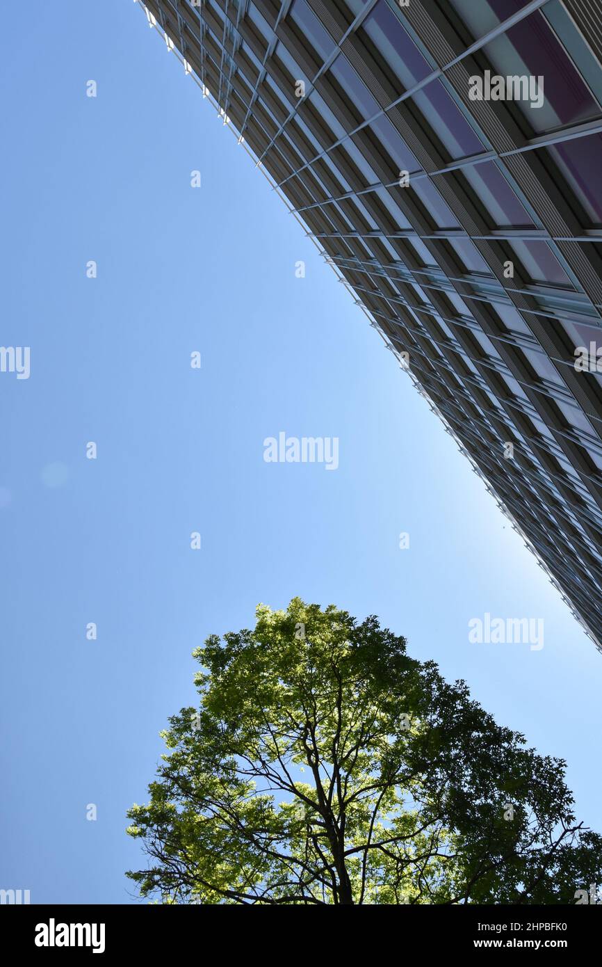 Low angle of a modern building against the blue sky Stock Photo - Alamy