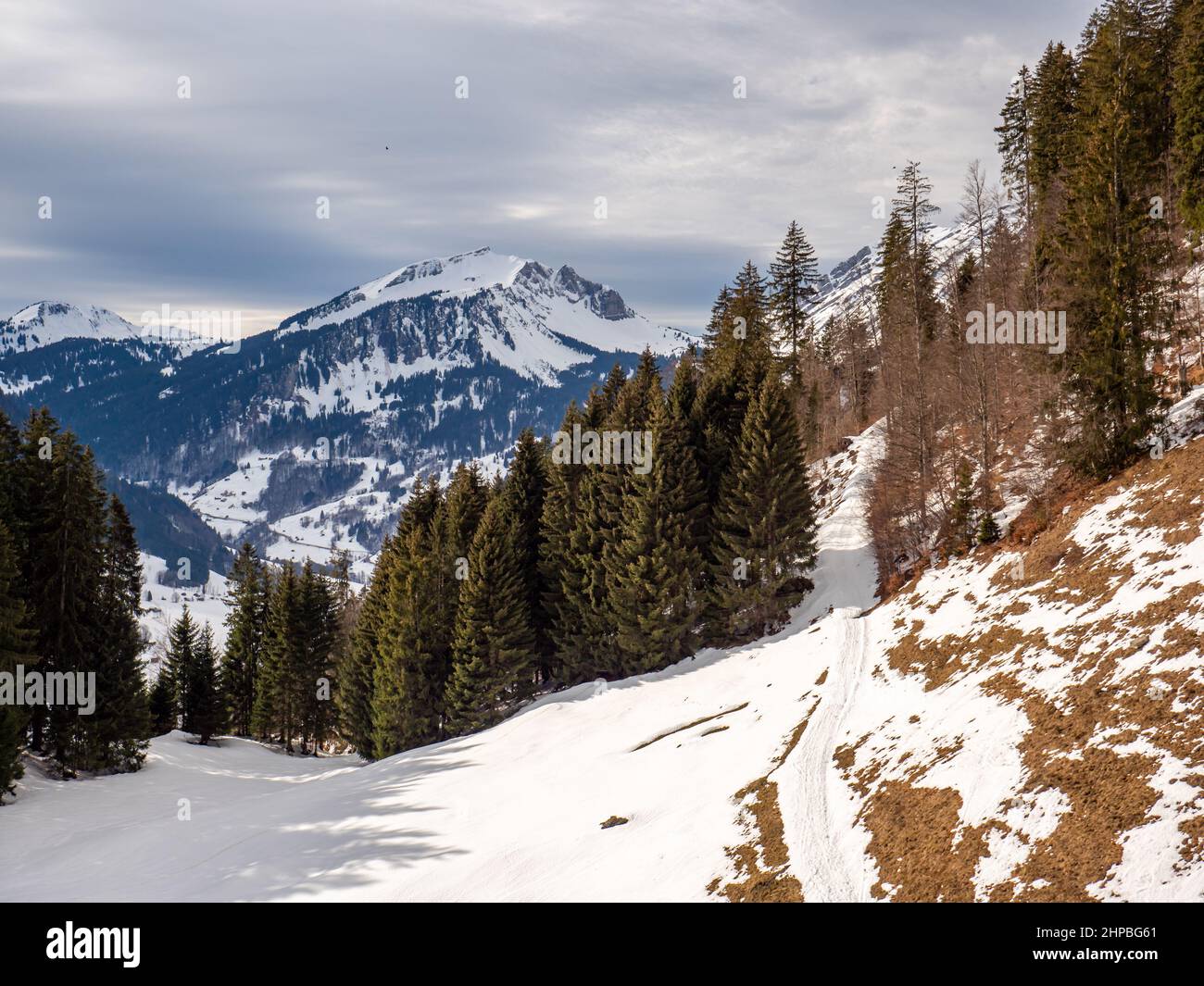 Austria lake constance area hi-res stock photography and images - Alamy