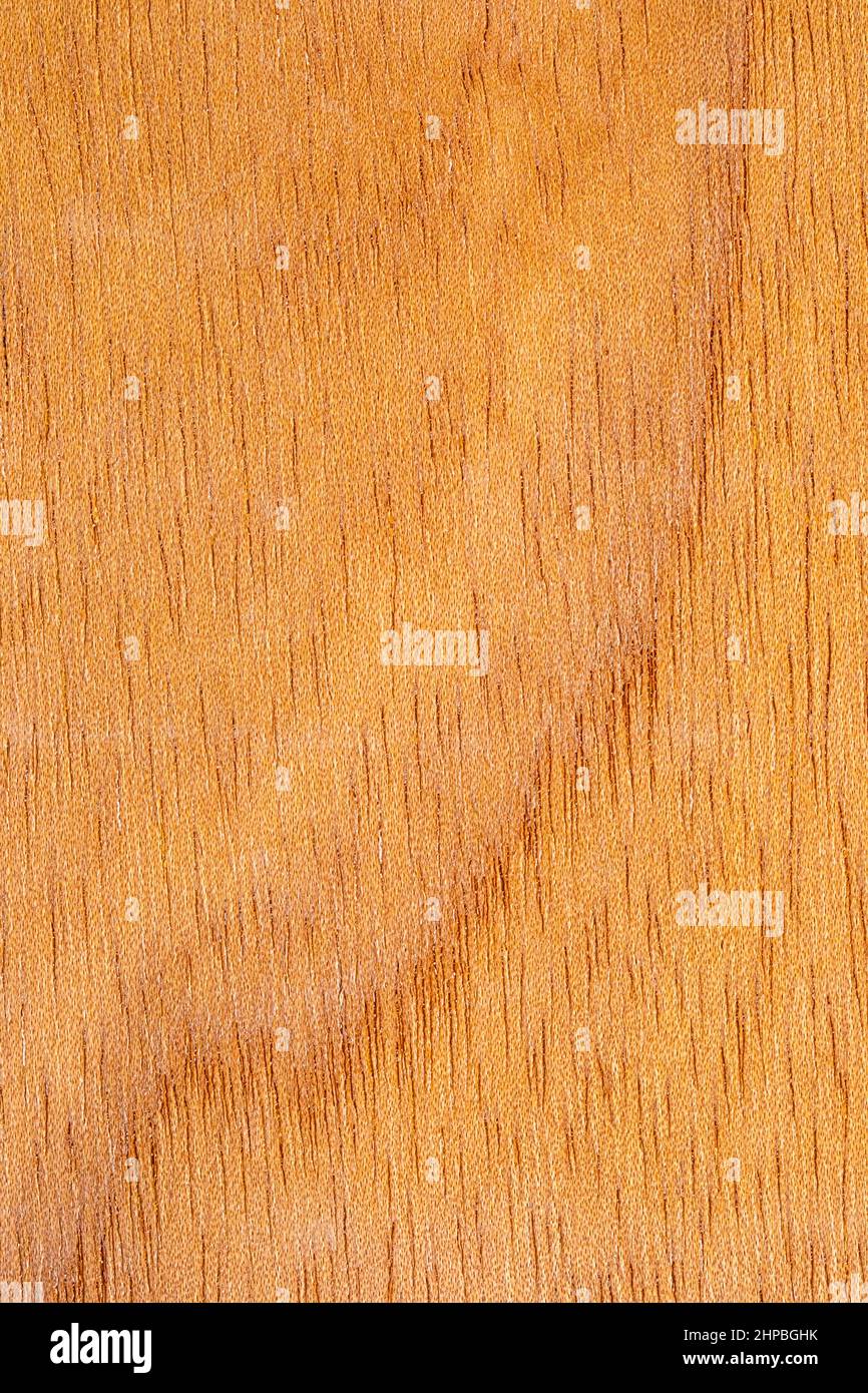 Macro Close up of wooden texture of Cedar wood cigar box surface Stock ...