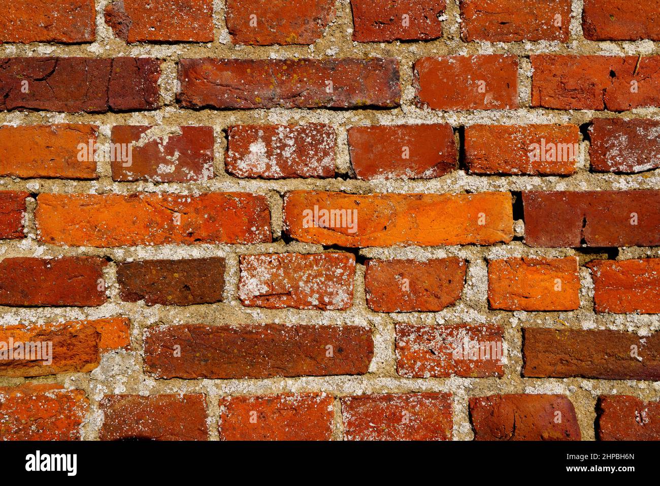 Brick wall background, Closeup, Macro Stock Photo - Alamy