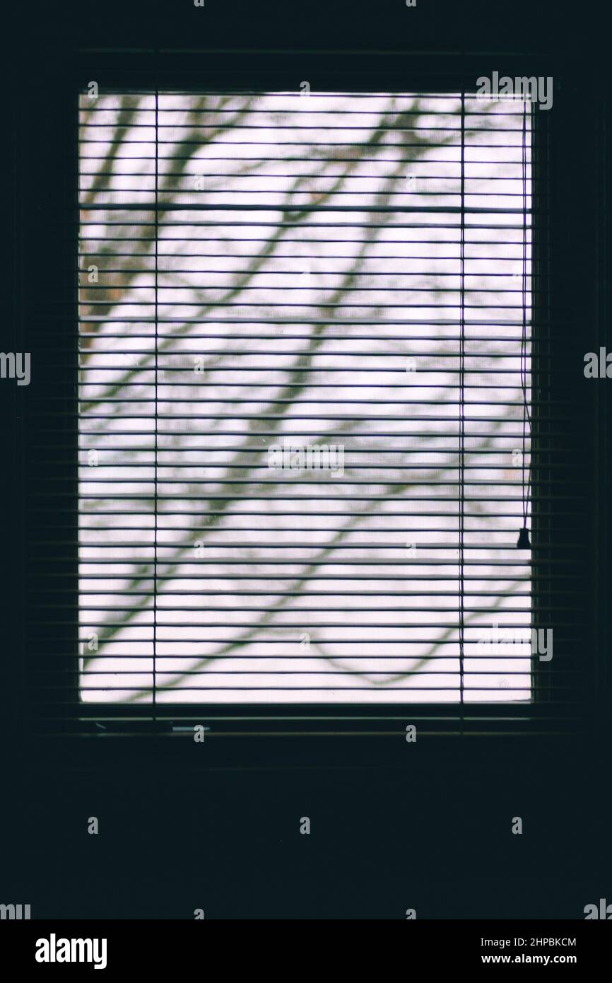 View thru a window with open blinds of a meadow Stock Photo - Alamy