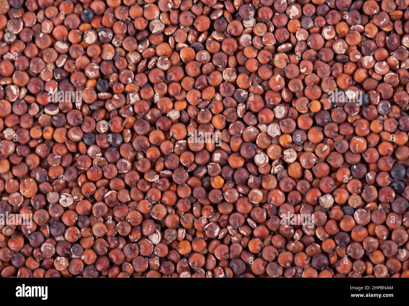 Uncooked red quinoa seeds hi-res stock photography and images - Alamy