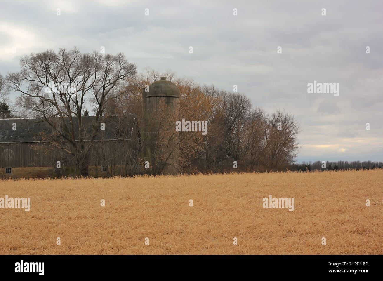 Stark and barren winter farm fields in Wisconsin Stock Photo - Alamy