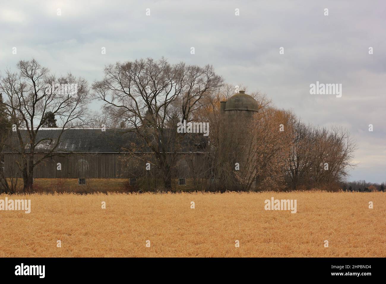 Stark and barren winter farm fields in Wisconsin Stock Photo - Alamy