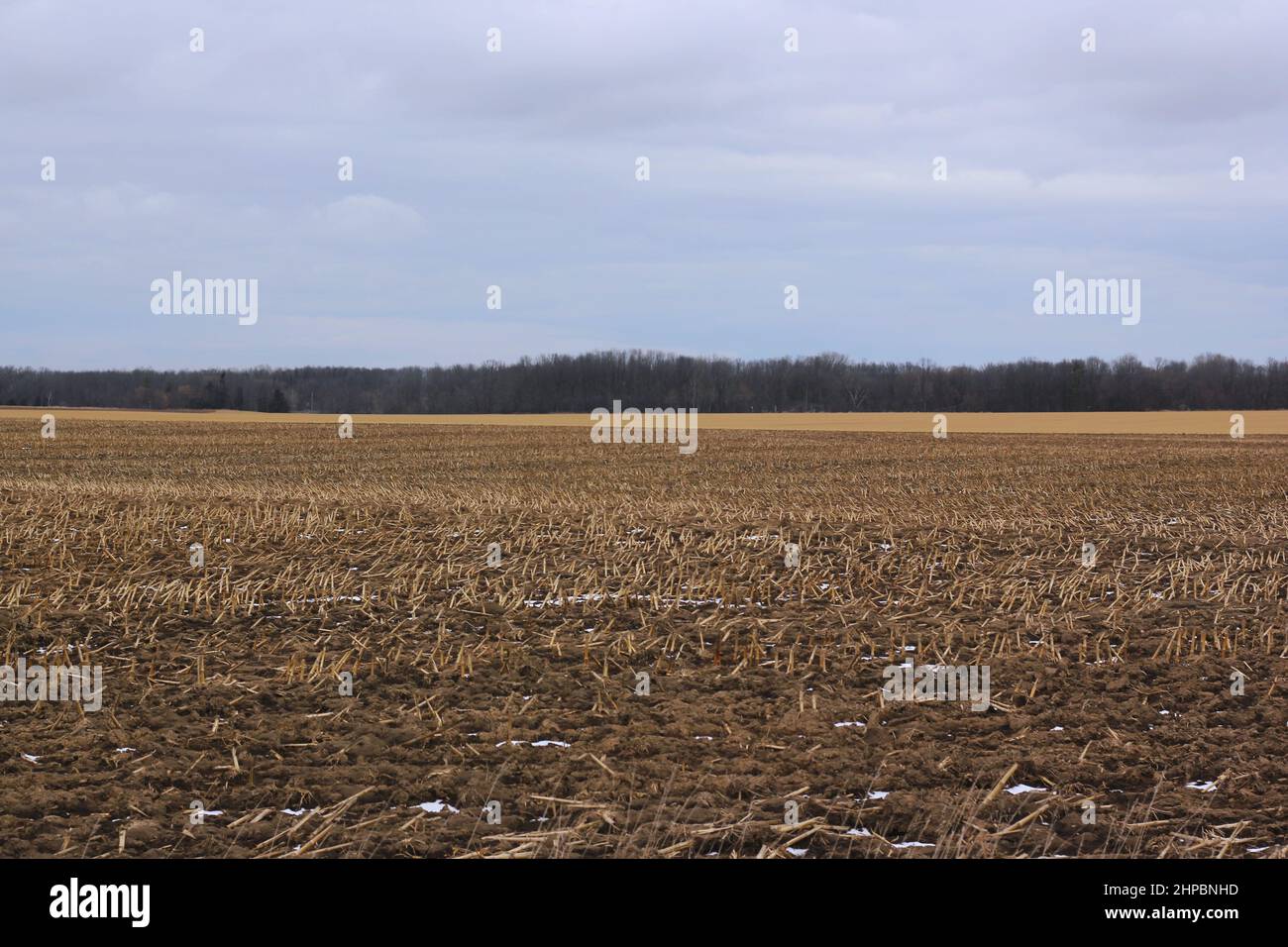 Stark and barren winter farm fields in Wisconsin Stock Photo - Alamy