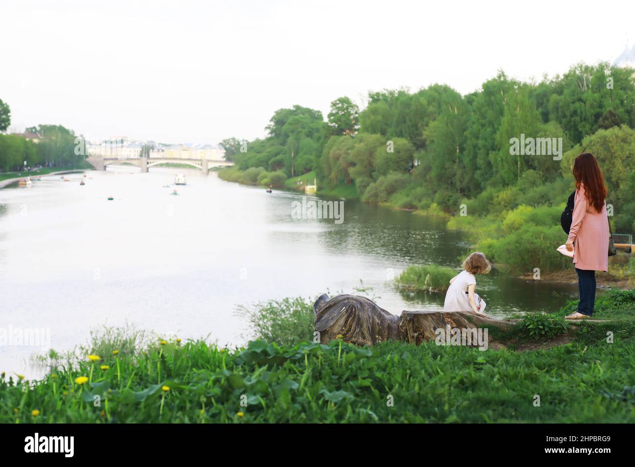 Spring nature background. Greenery trees and grasses on a sunny spring ...