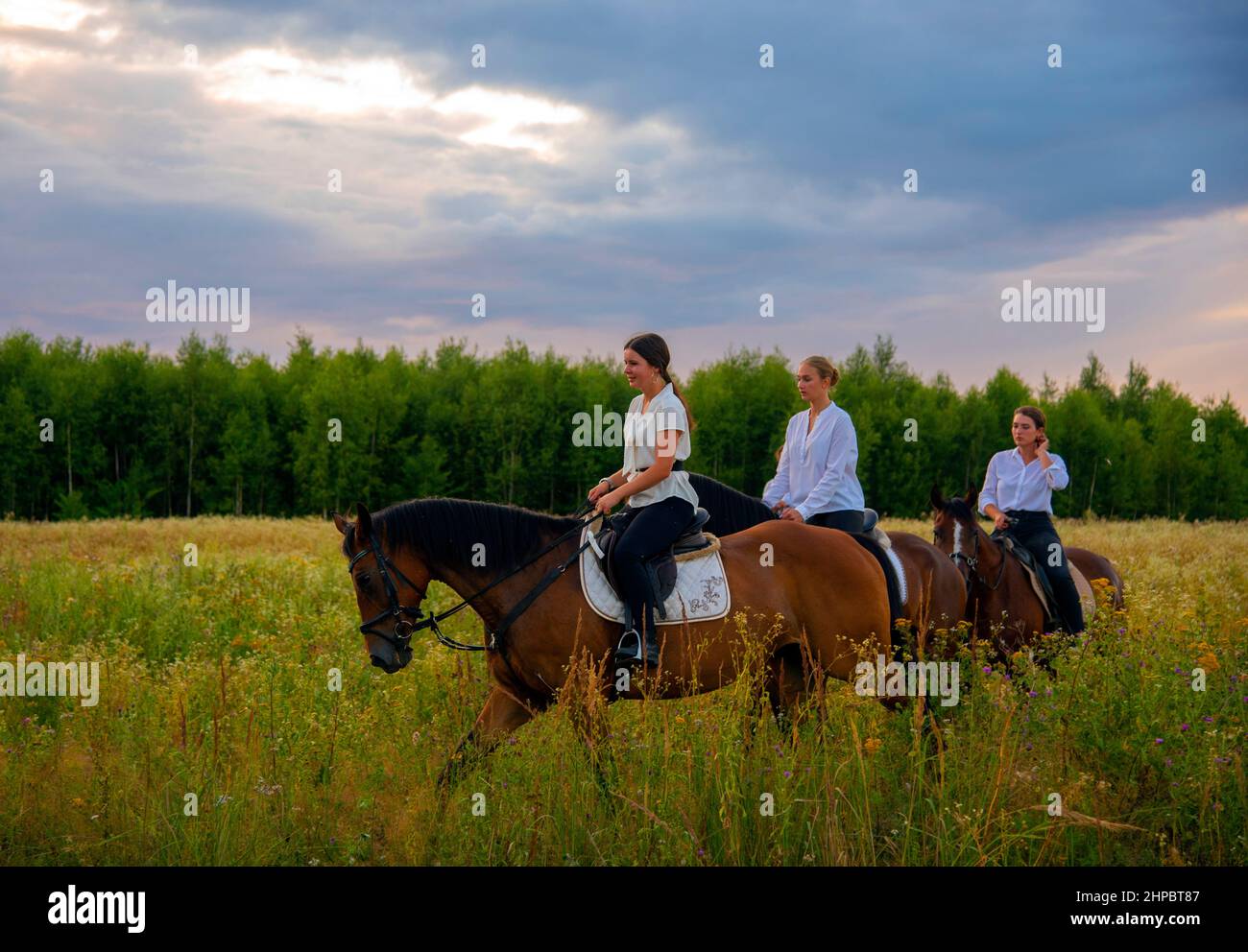 Russia, Ruza, August 2021. Girls ride horses through the tall grass ...