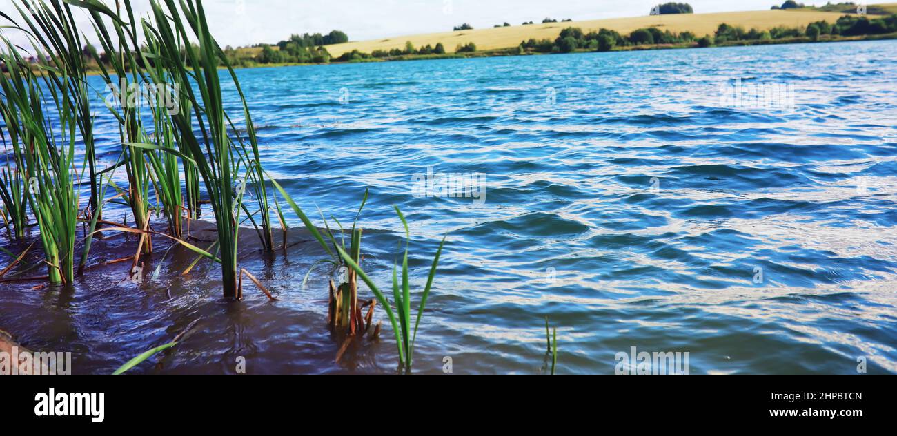 Water surface. The texture of the water. Waves on the lake windy ...