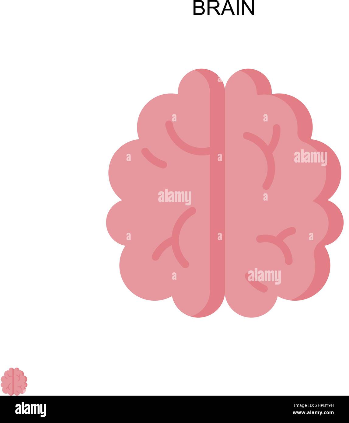 Brain Simple vector icon. Illustration symbol design template for web ...