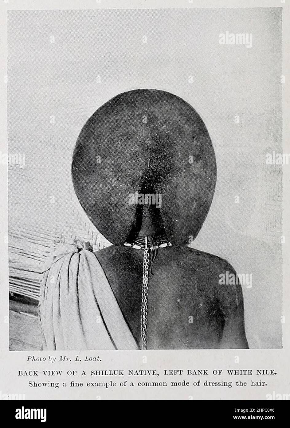 BACK VIEW OF A SHILLUK NATIVE, LEFT BANK OF WHITE NILE. Showing a fine ...