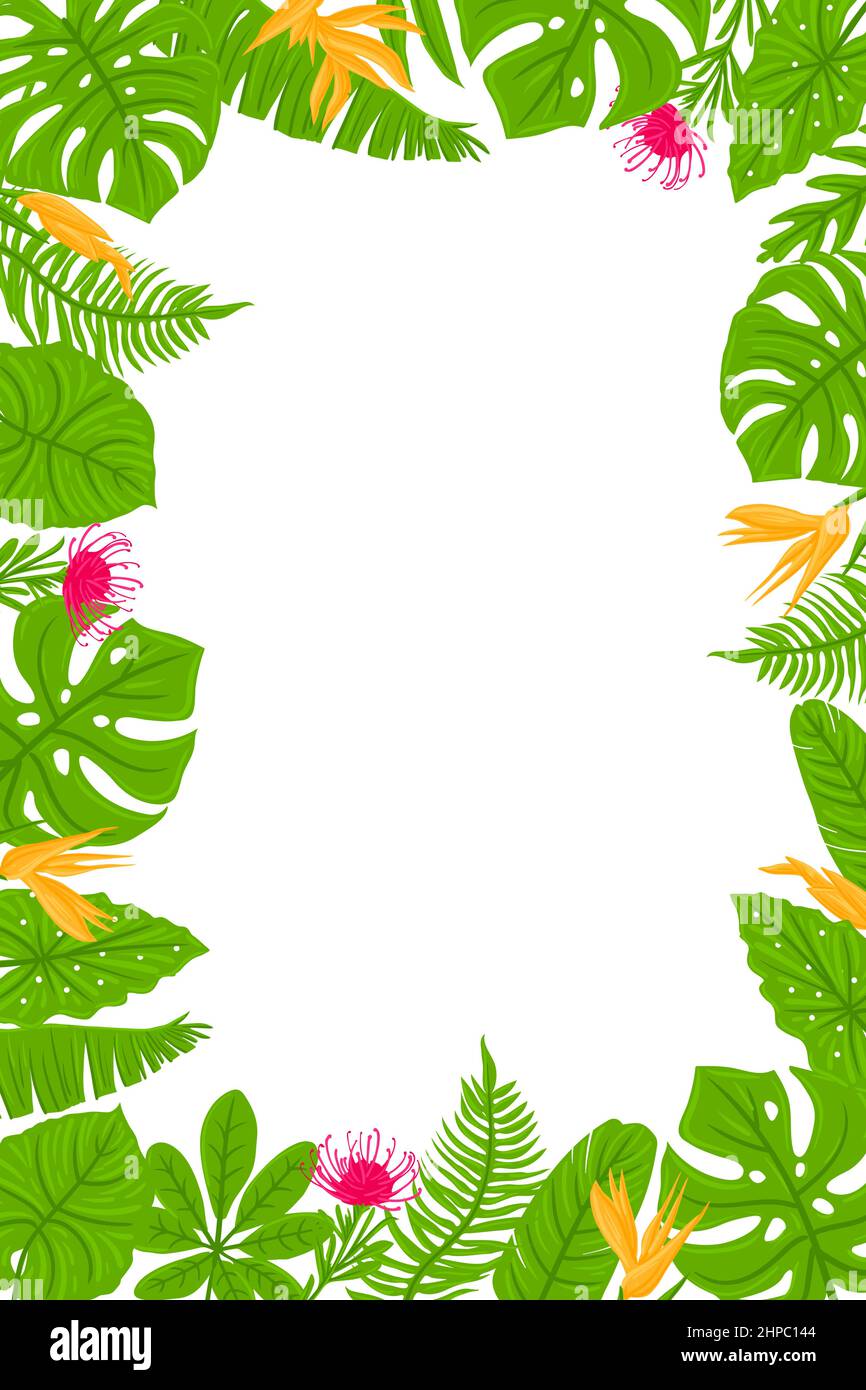 Vertical white feather on Stock Vector Images - Alamy