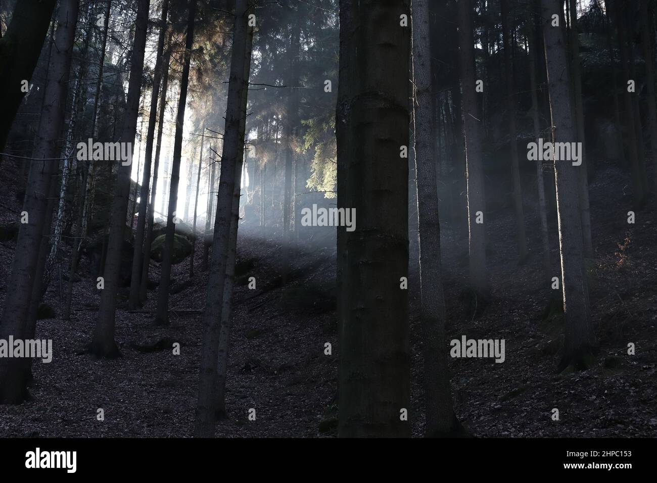 Light pouring through hi-res stock photography and images - Alamy