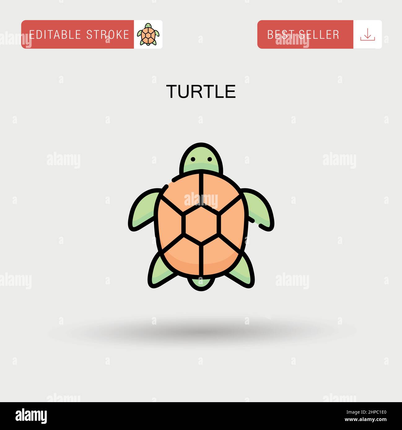 Turtle Simple vector icon Stock Vector Image & Art - Alamy
