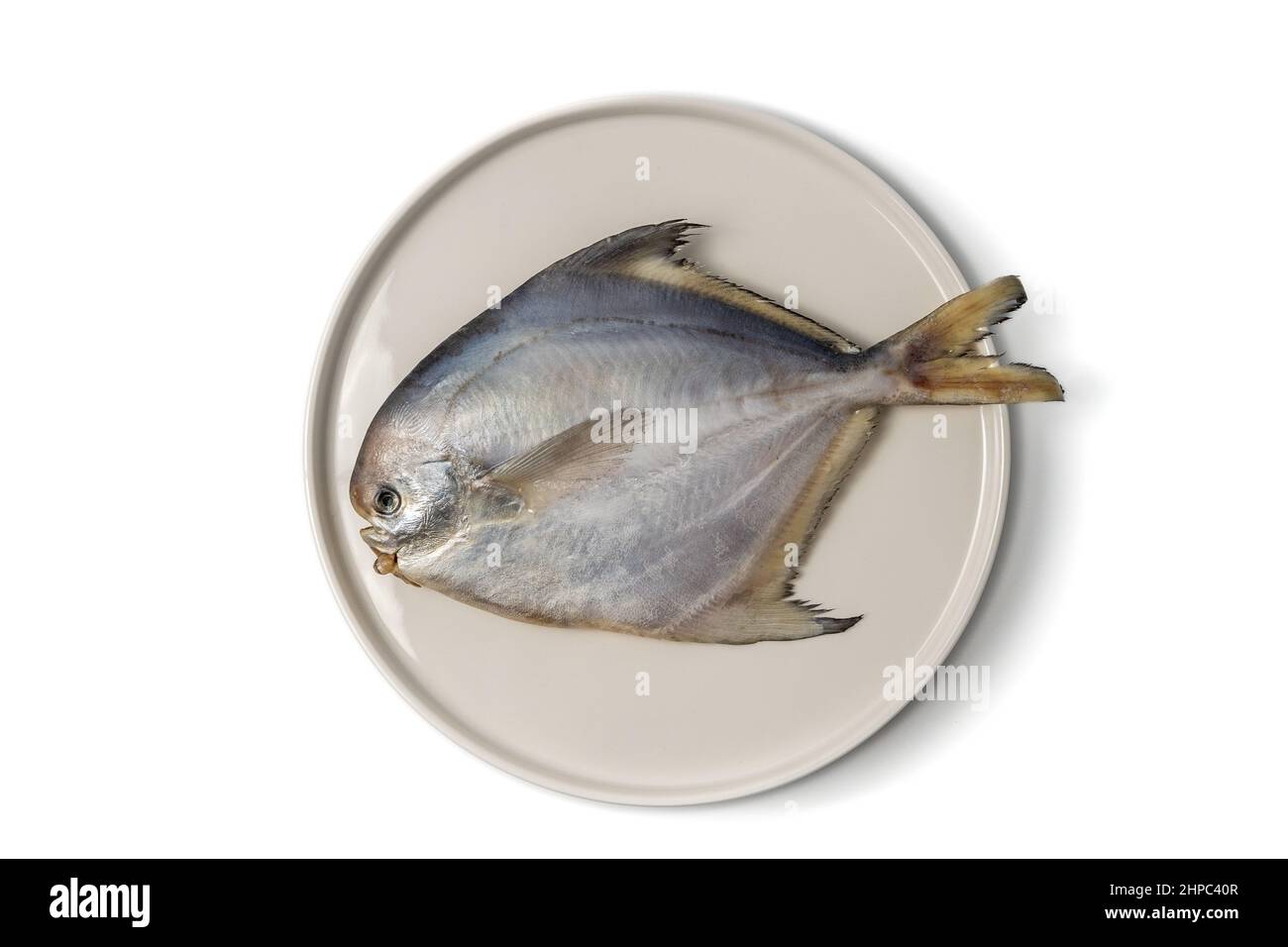 white pomfret on a white background Stock Photo - Alamy