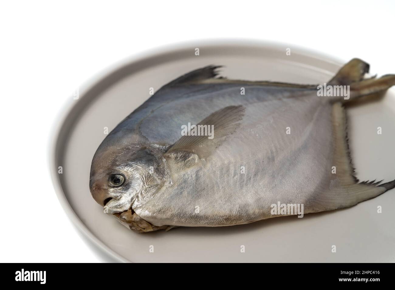 white pomfret on a white background Stock Photo - Alamy