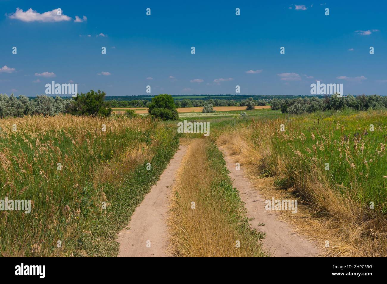Rural landscape with an earth road through meadow to small Ukrainian ...