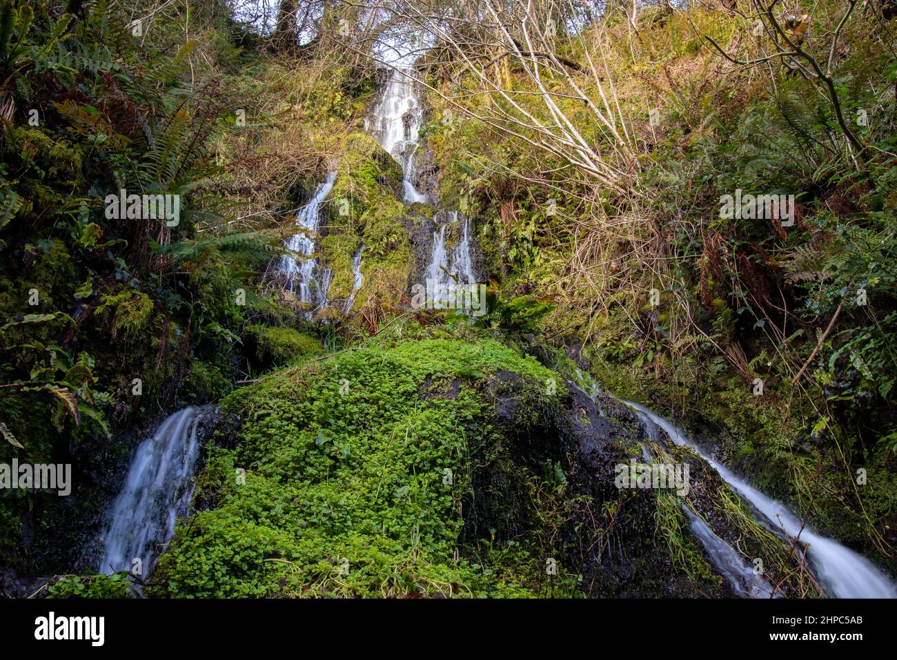 Cranny hi-res stock photography and images - Alamy