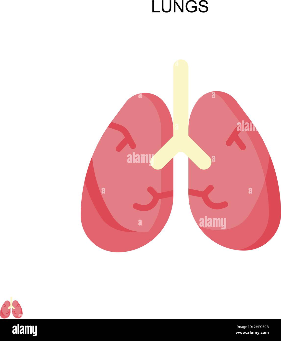Lungs Simple vector icon. Illustration symbol design template for web ...