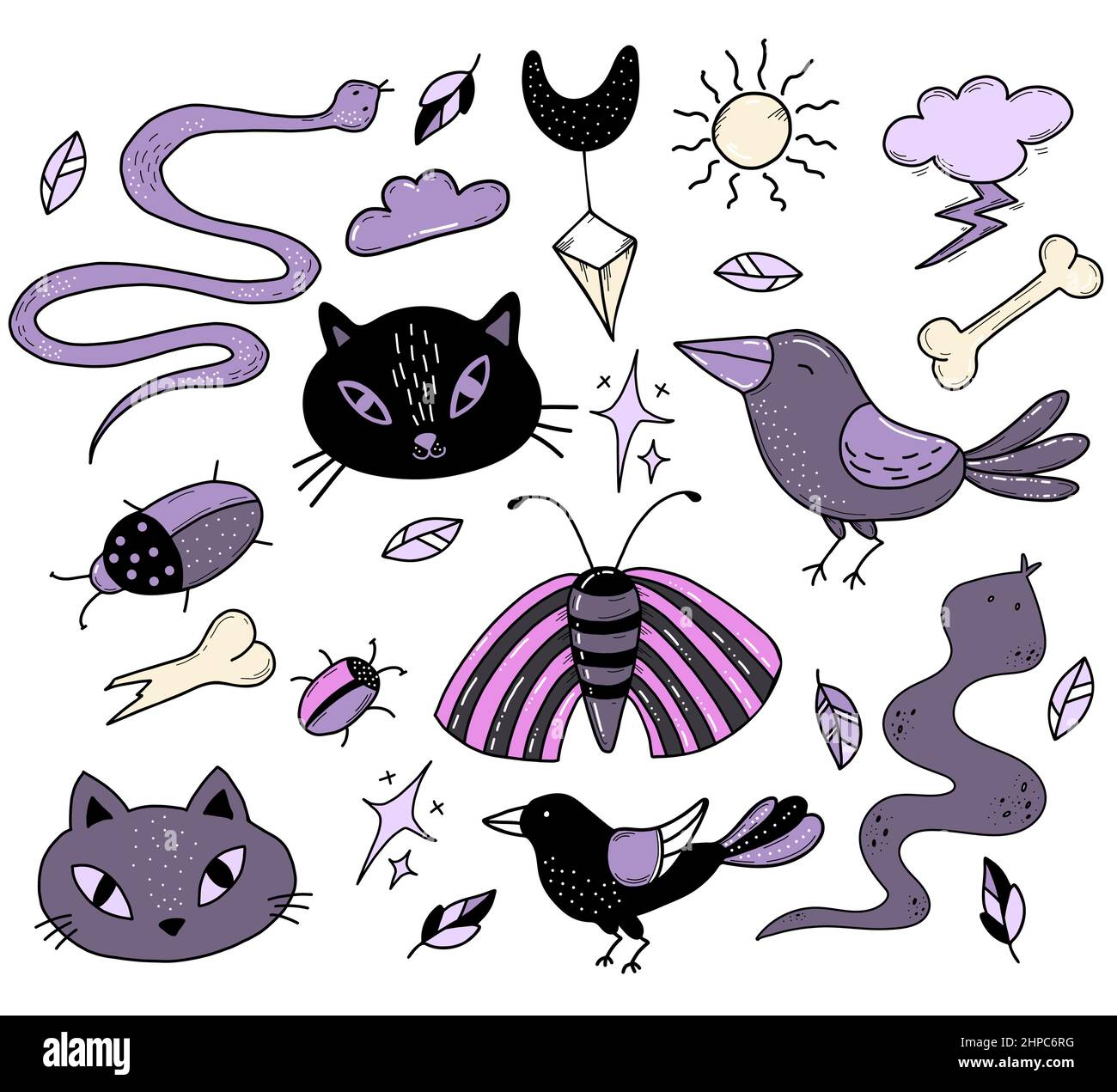 set of magical amulets, symbols and witchcraft beasts. Black cat and ...
