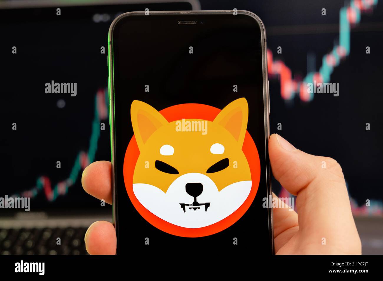 Shiba SHIB cryptocurrency logo on the screen of a smartphone in mans ...
