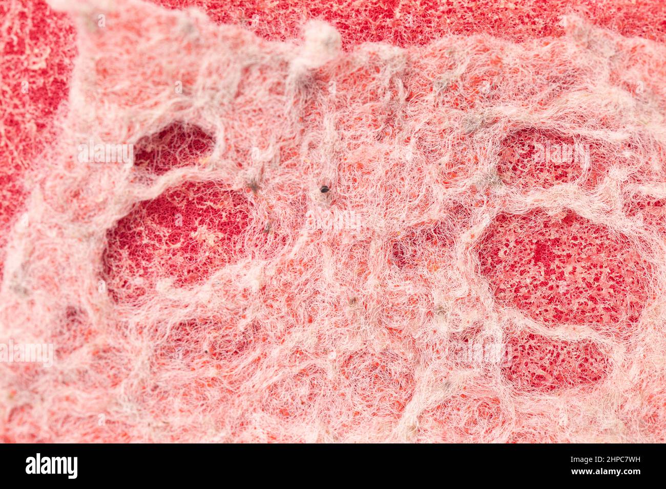 Old red sponge textured background. Foam rubber background Stock Photo ...