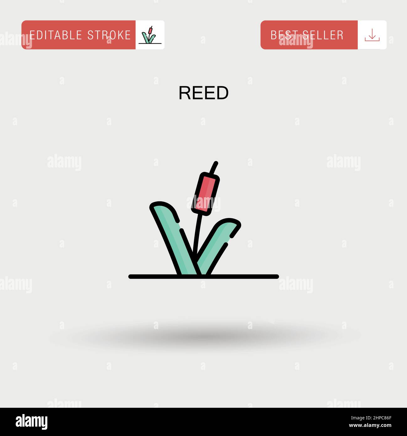 Reed dry Stock Vector Images - Alamy