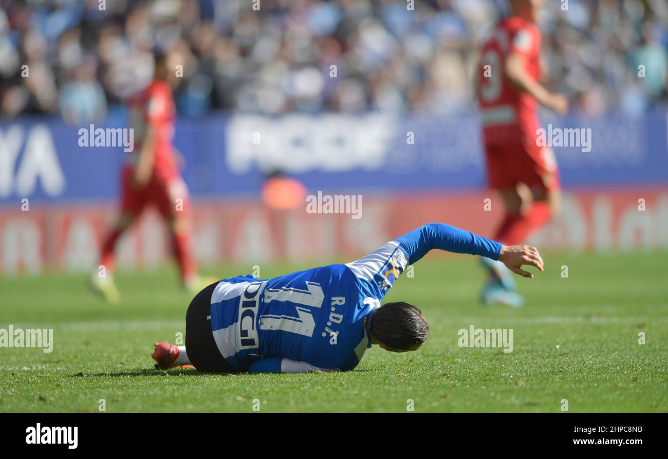 Rdt reacts hi-res stock photography and images - Alamy