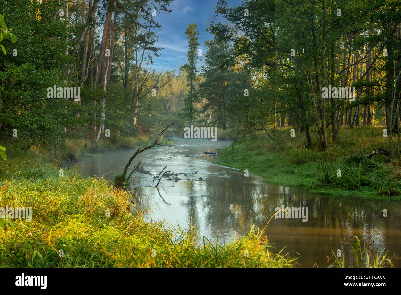 A small, lowland river that flows through the forest. It is autumn ...