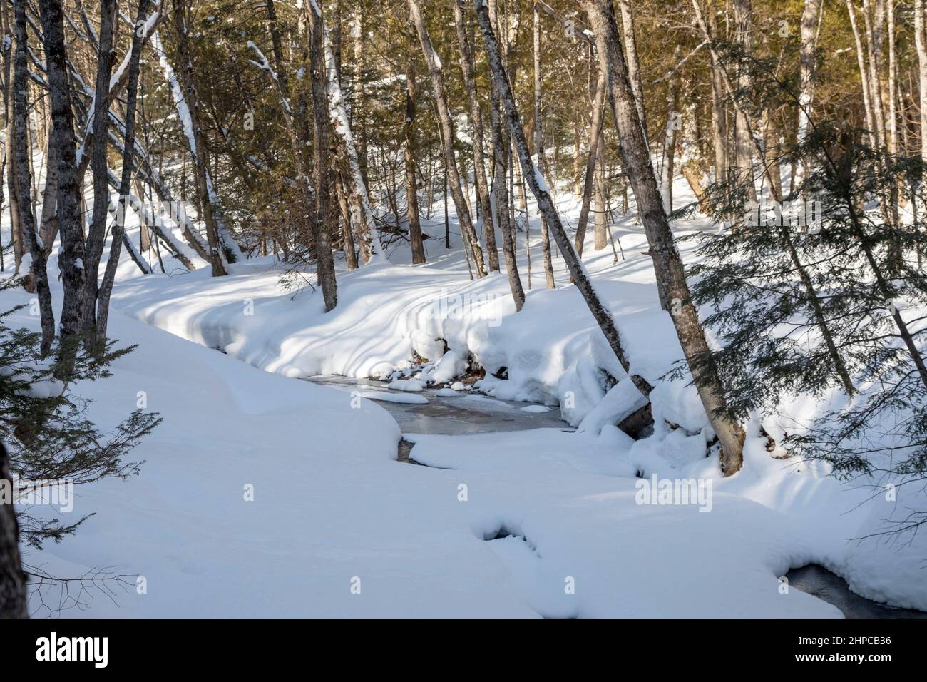 Eben Junction, Michigan - Silver Creek in the Rock River Canyon ...