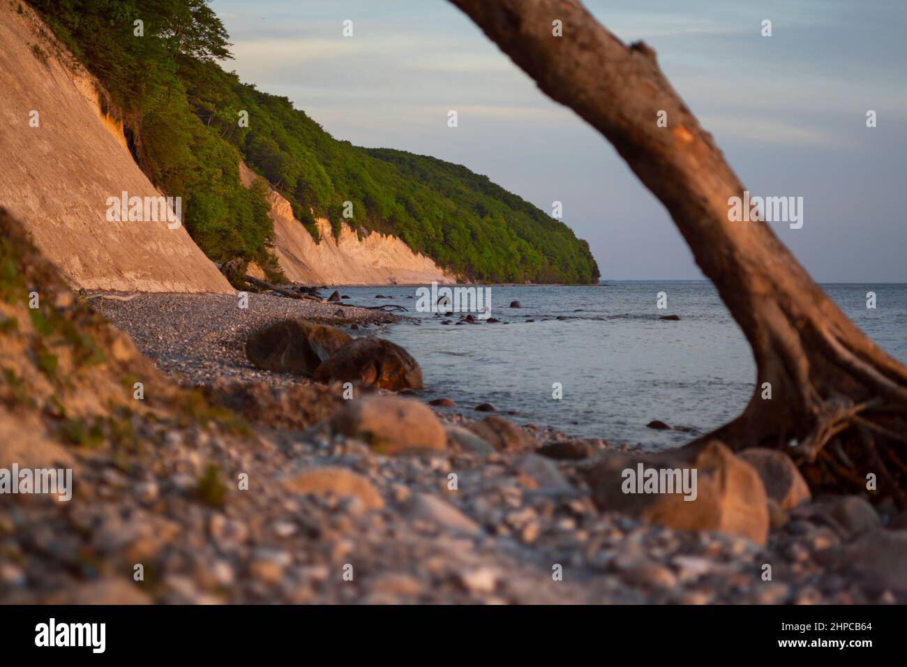 Rügen Island, Jasmund National Park, Baltic Sea, East Germany Sassnitz ...
