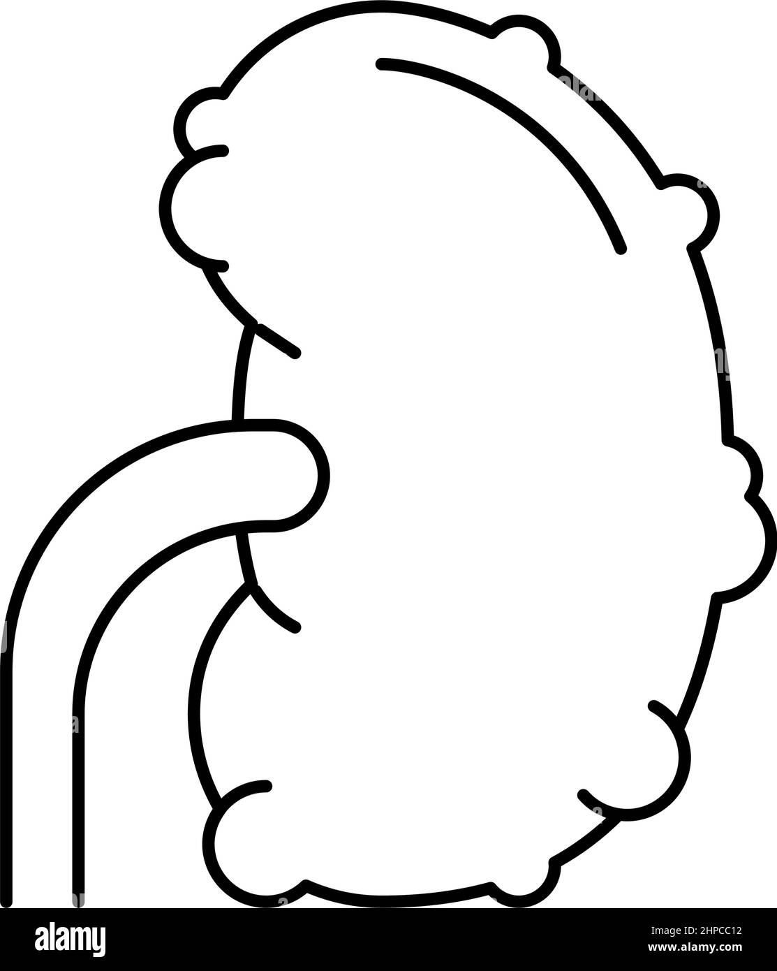 chronic pyelonephritis line icon vector illustration Stock Vector Image ...