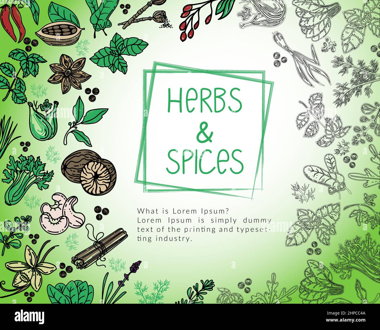 Herb and spice package design template, drawn element in style. Herbs ...