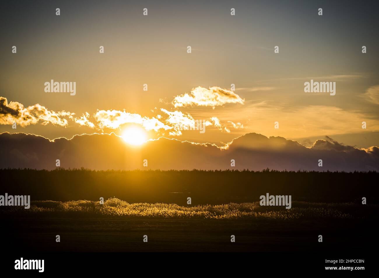 Beautiful shot field sunset hi-res stock photography and images - Alamy