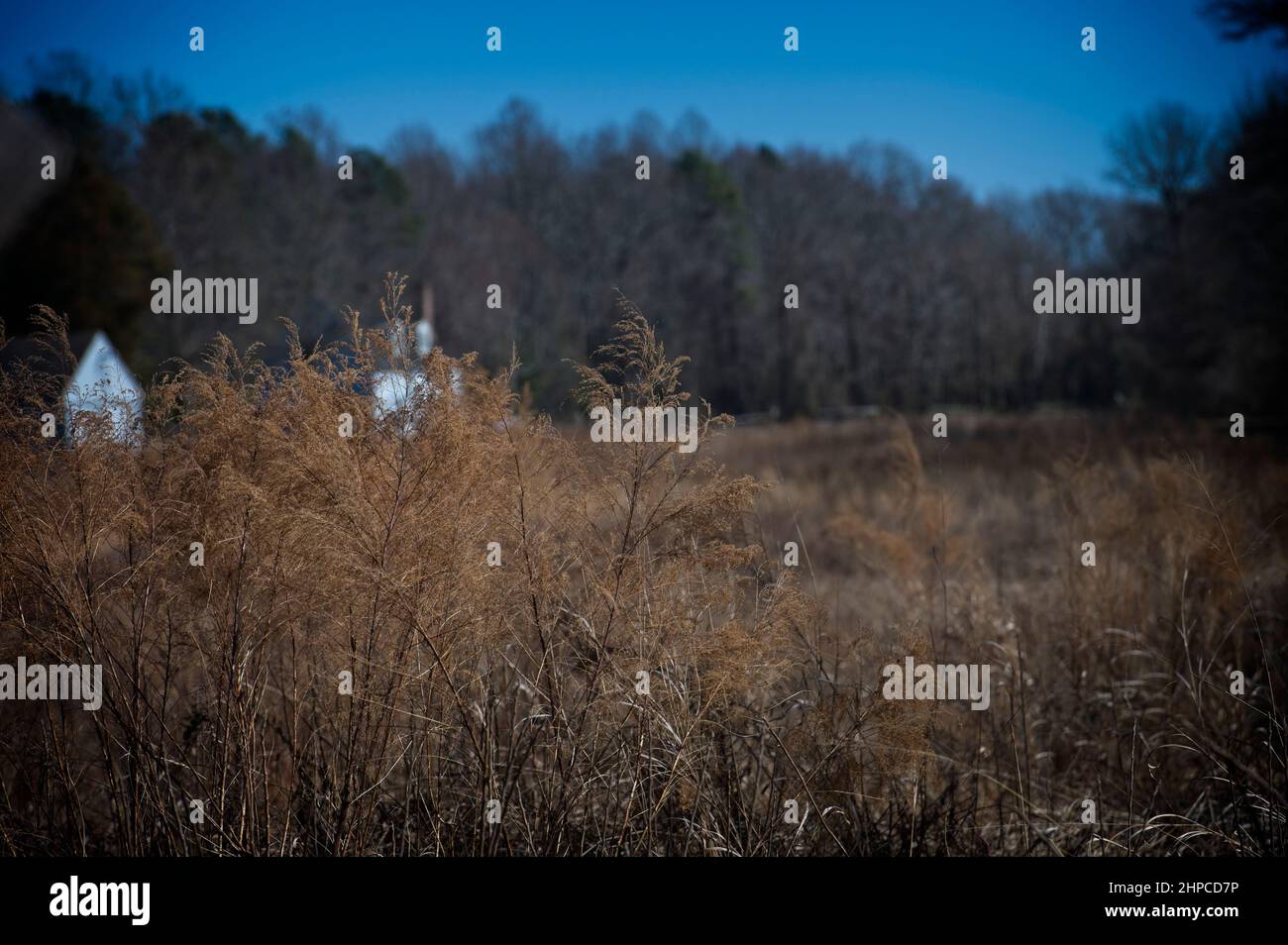 UNITED STATES - 021922: The Battle of Gaines' Mill, sometimes known as ...