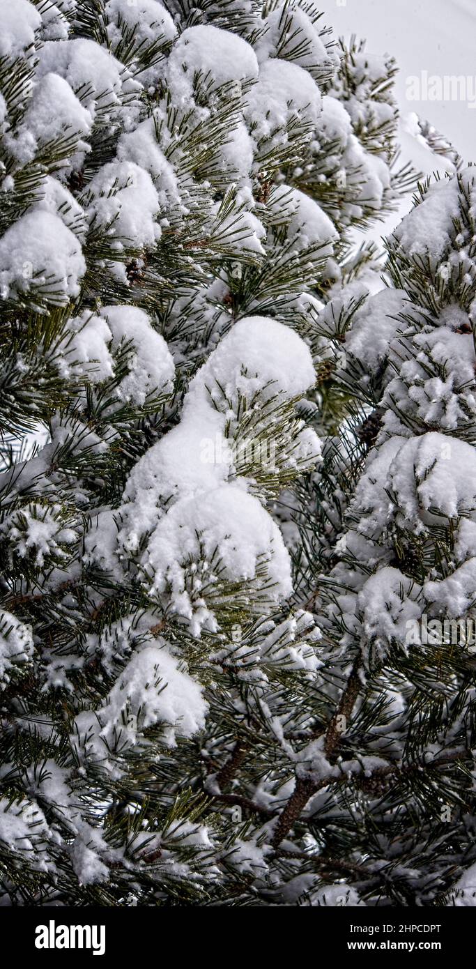 Alberta precipitation hi-res stock photography and images - Alamy