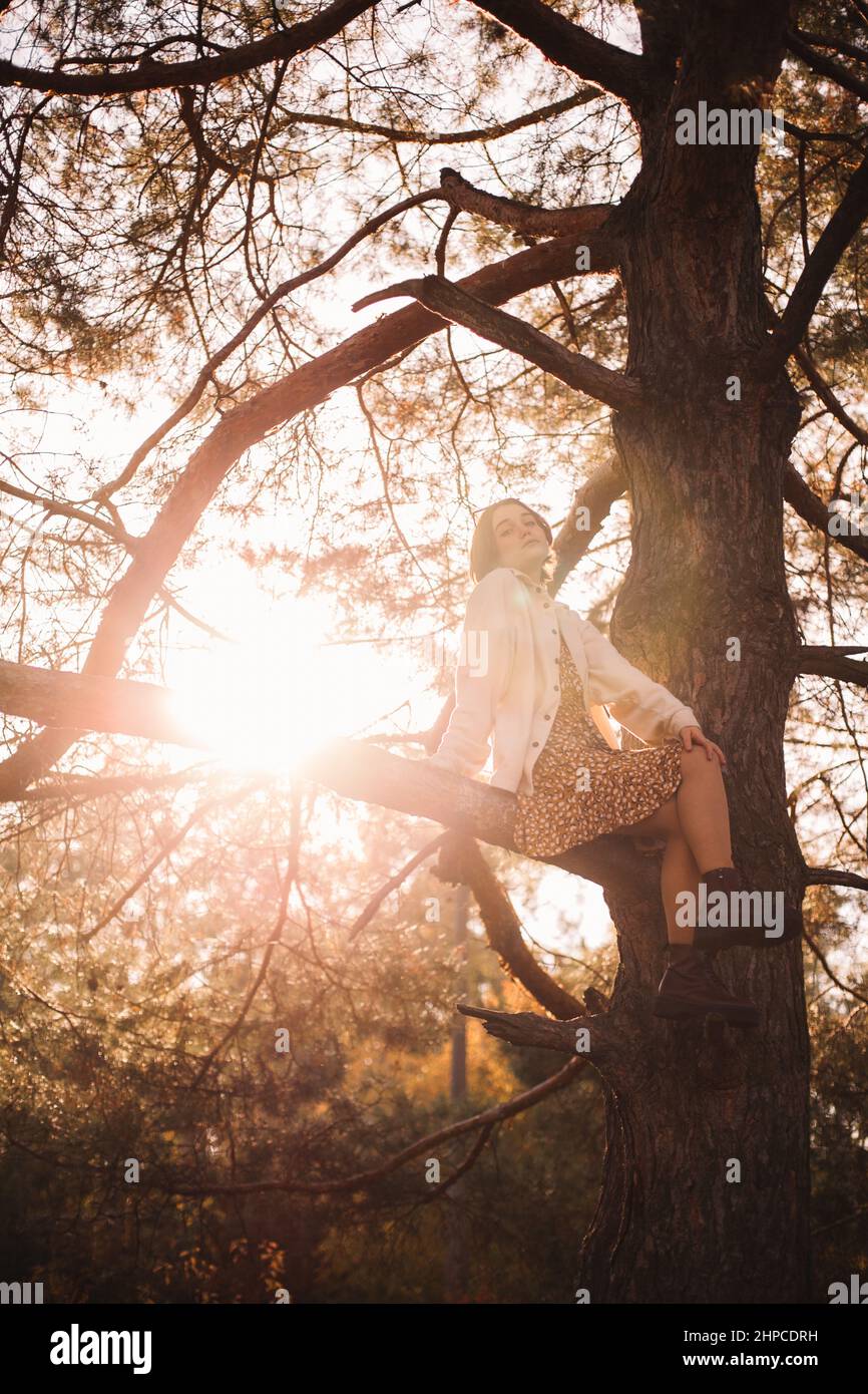 Teenage girl sitting on tree hi-res stock photography and images - Alamy