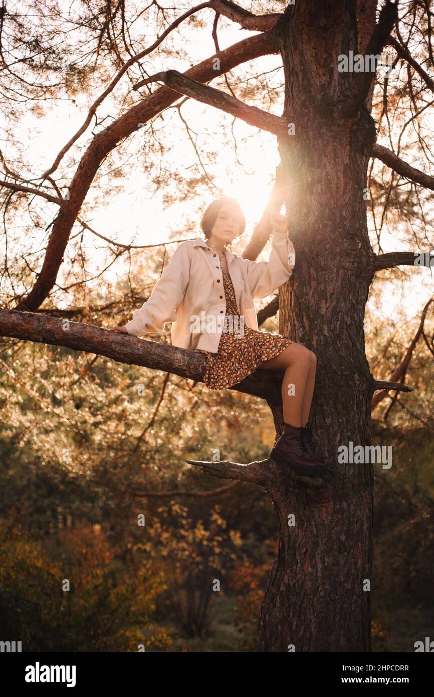 Teenage girl sitting on pine tree branch in forest Stock Photo - Alamy