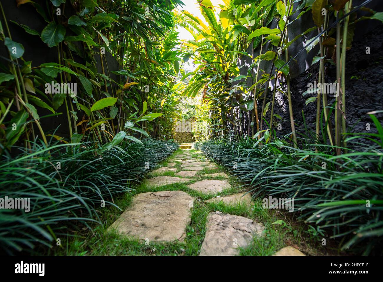 garden path at luxury resort in Bali Stock Photo - Alamy