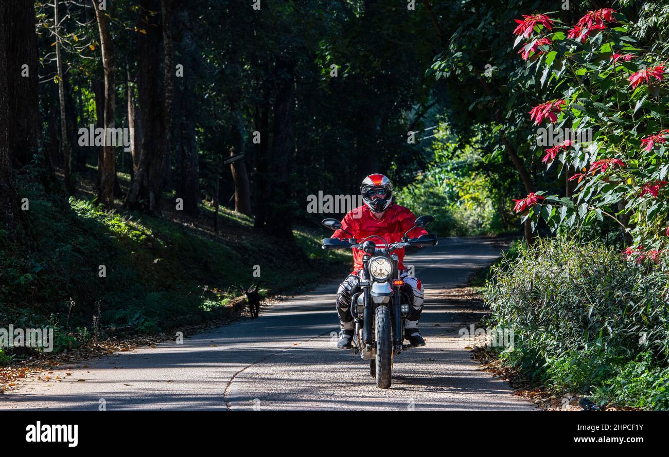 man riding his scrambler type motorcycle in north Thailand Stock Photo ...