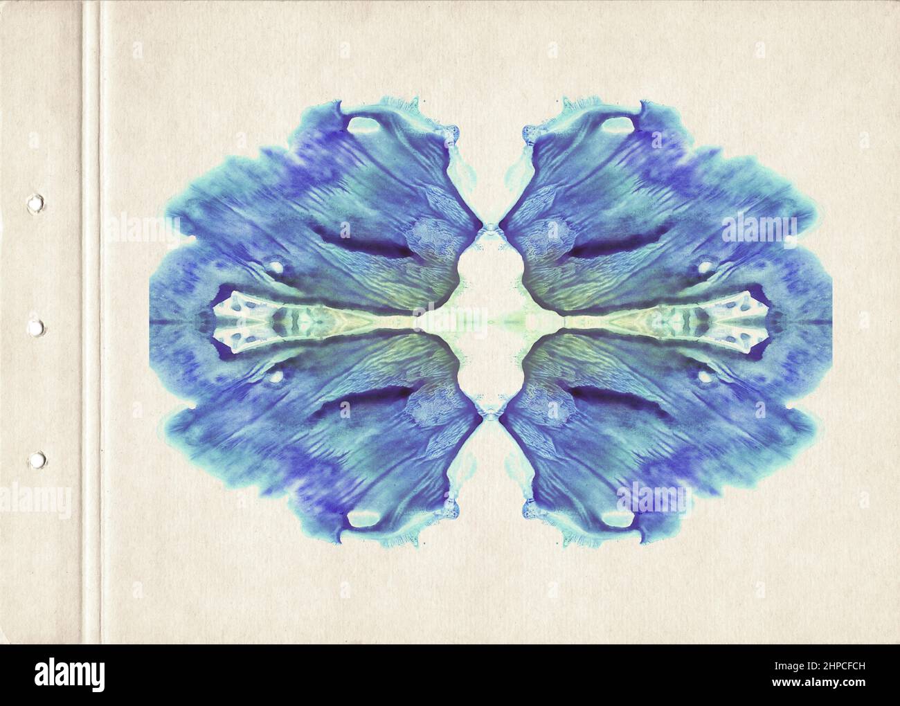 To colour blotches hi-res stock photography and images - Alamy